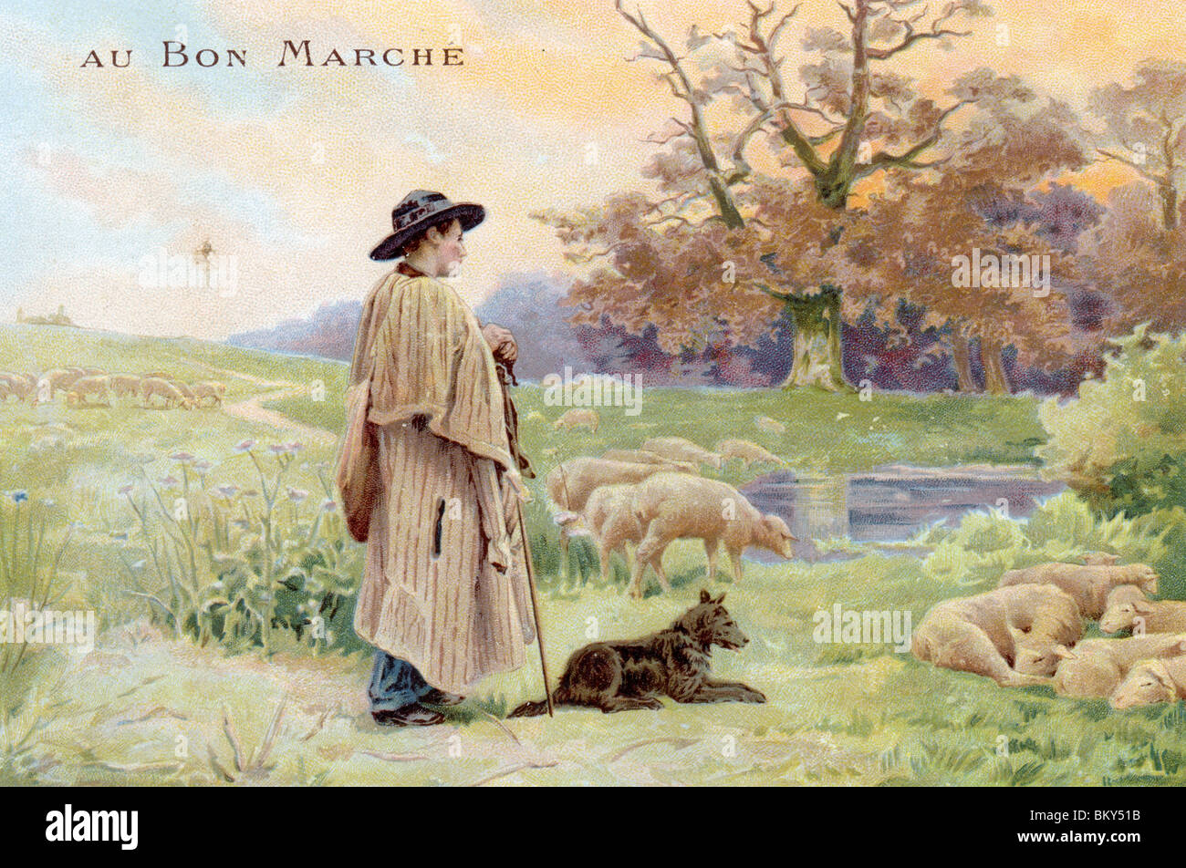 The Shepherd with his Flock of Sheep Stock Photo - Alamy