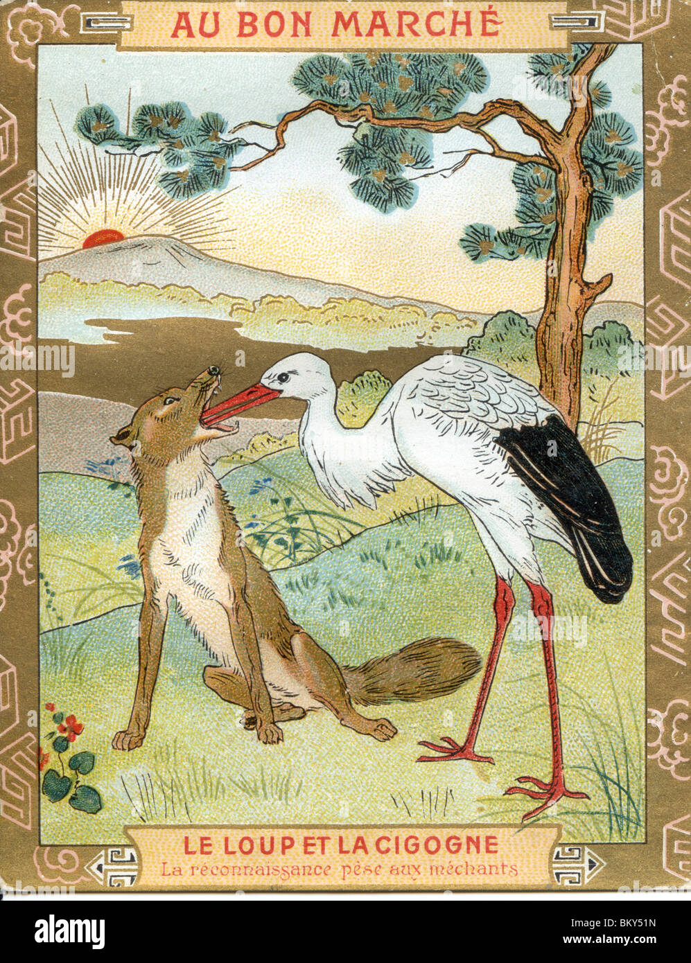 The Wolf and the Stork Stock Photo, Royalty Free Image: 29485505 - Alamy