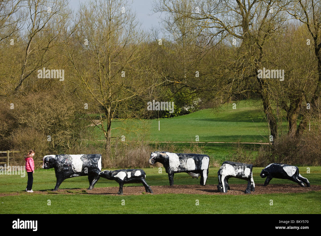 Young girl looking at the famous Concrete Cows in Milton Keynes ...