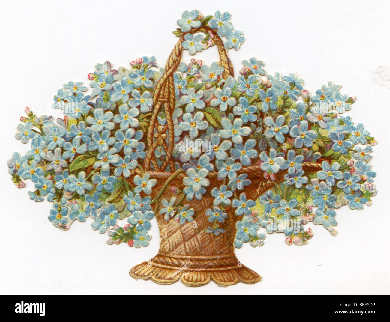 Forget-me-Nots in a Wicker Basket Stock Photo - Alamy