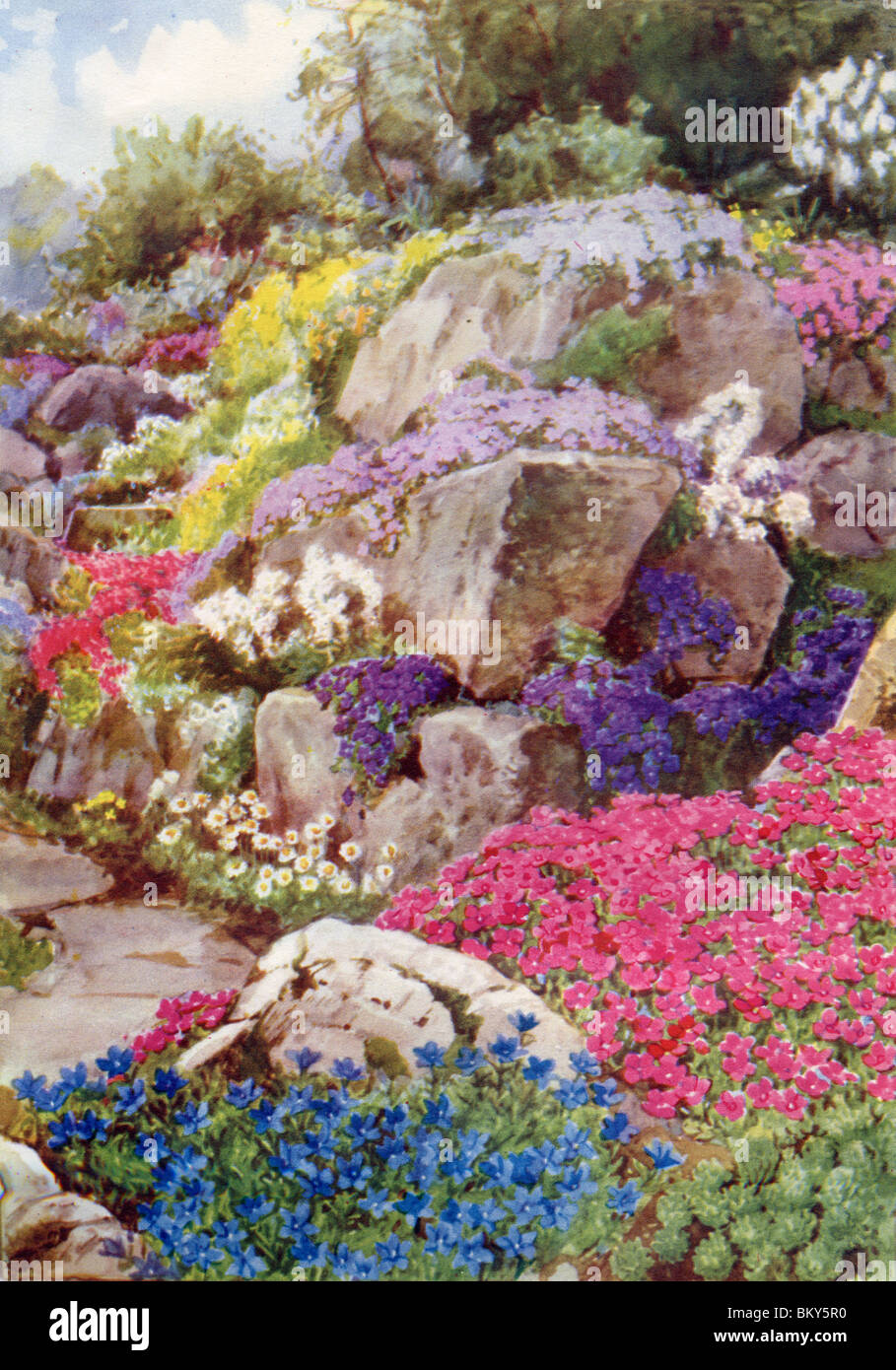 Victorian spring flower hi-res stock photography and images - Alamy