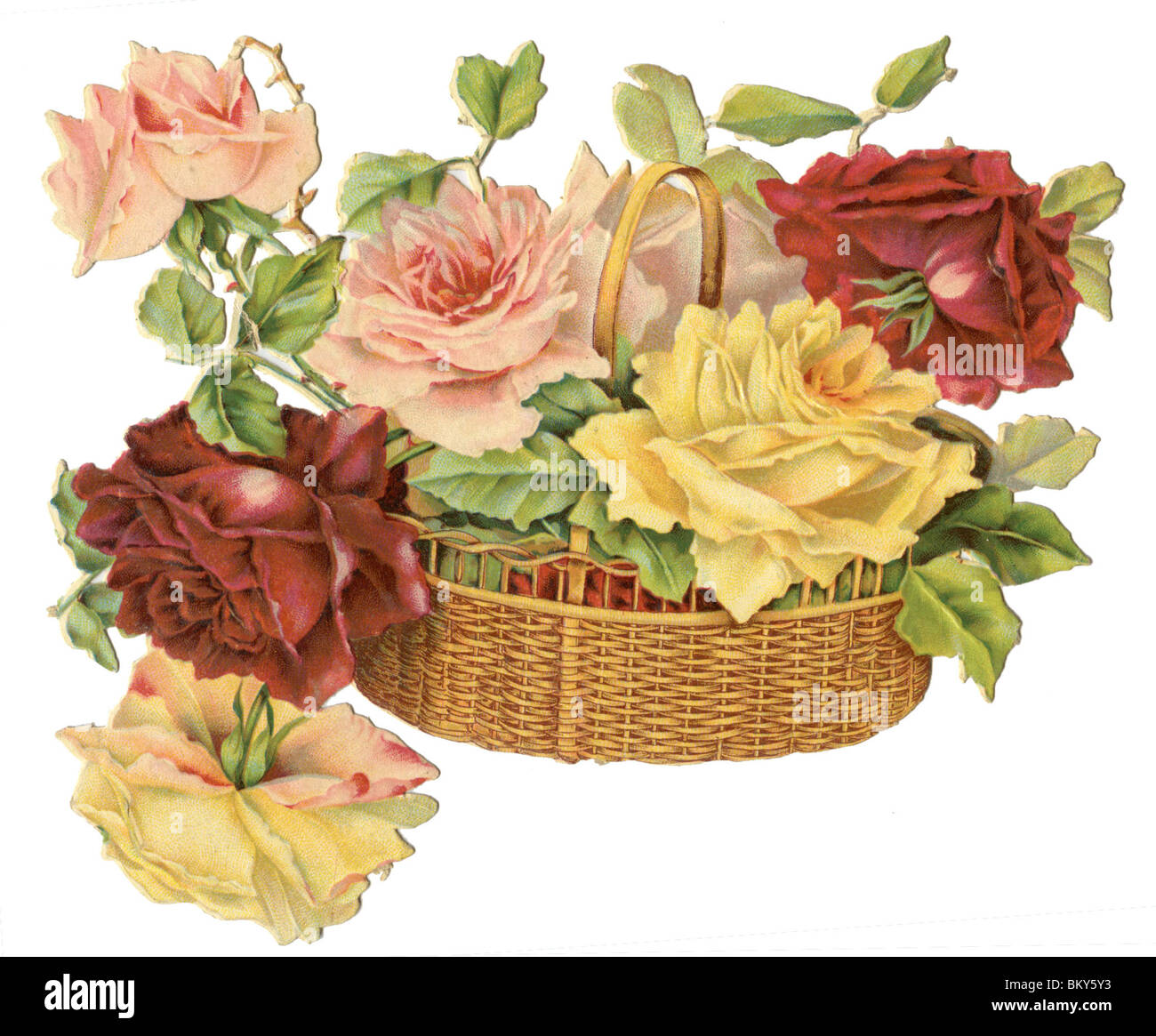 Red, Pink and Yellow Roses in a Wicker Basket Stock Photo - Alamy