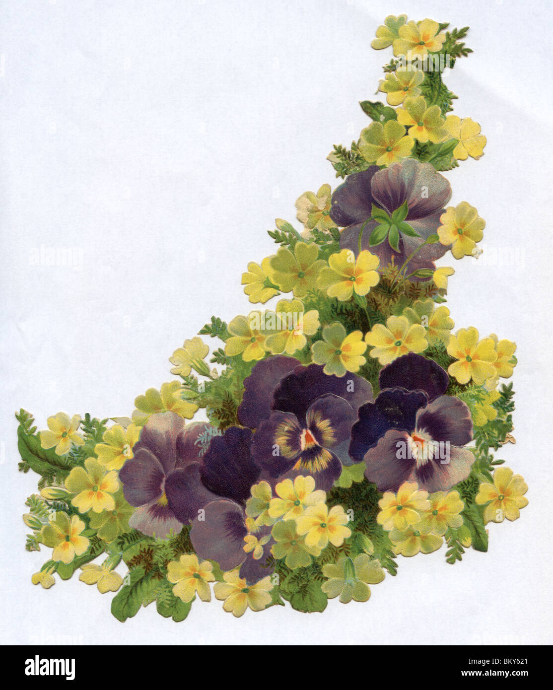 Purple Pansy and Yellow flower Spray Stock Photo - Alamy
