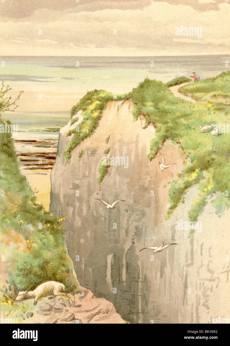 Cliff Top view of the Ocean Stock Photo - Alamy