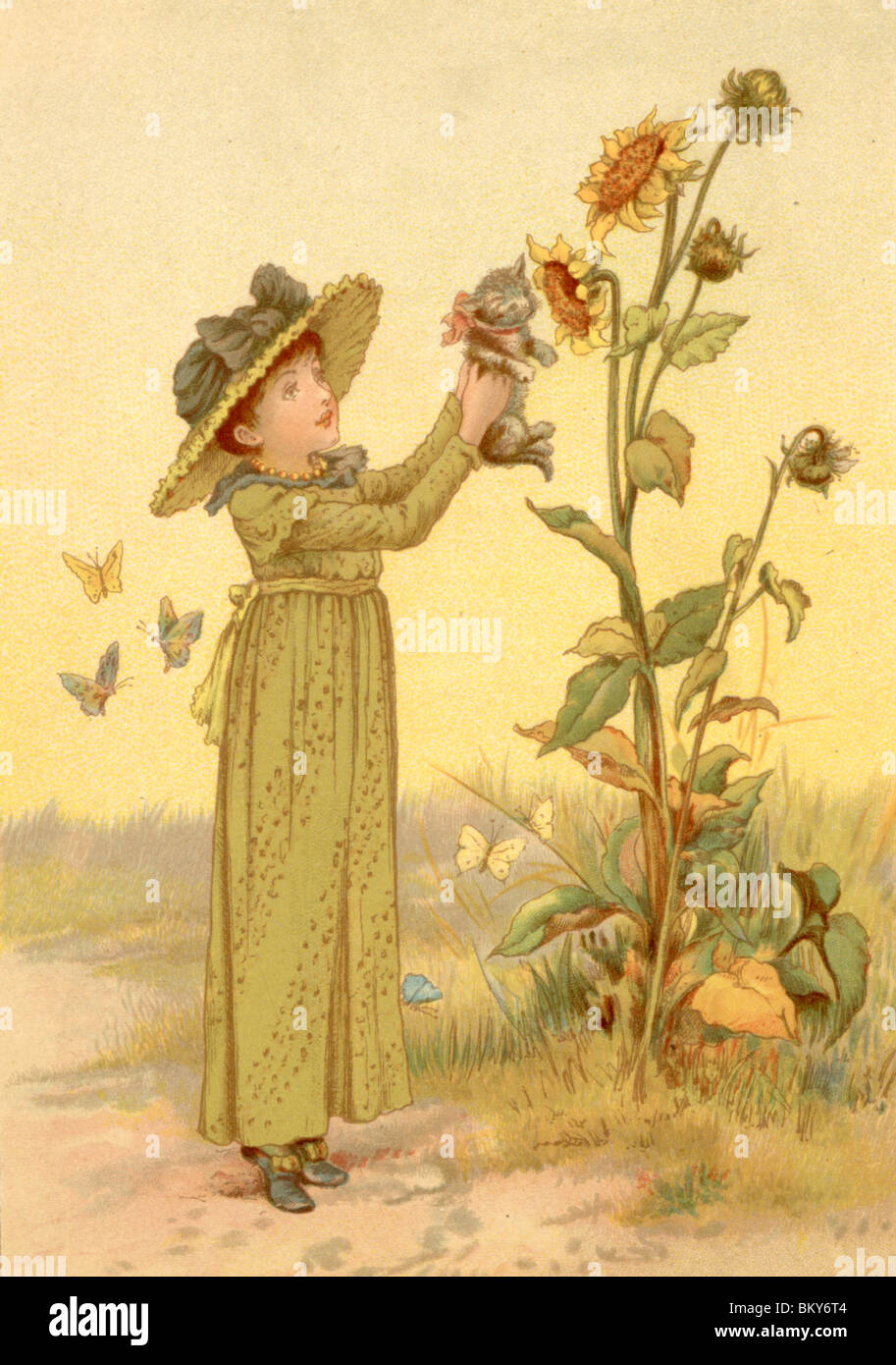 The Unappreciative Kitten Stock Photo - Alamy