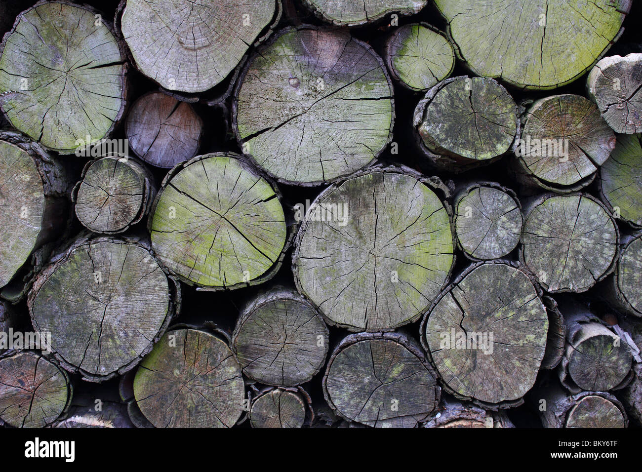 Timber wood lumber logs Stock Photo - Alamy