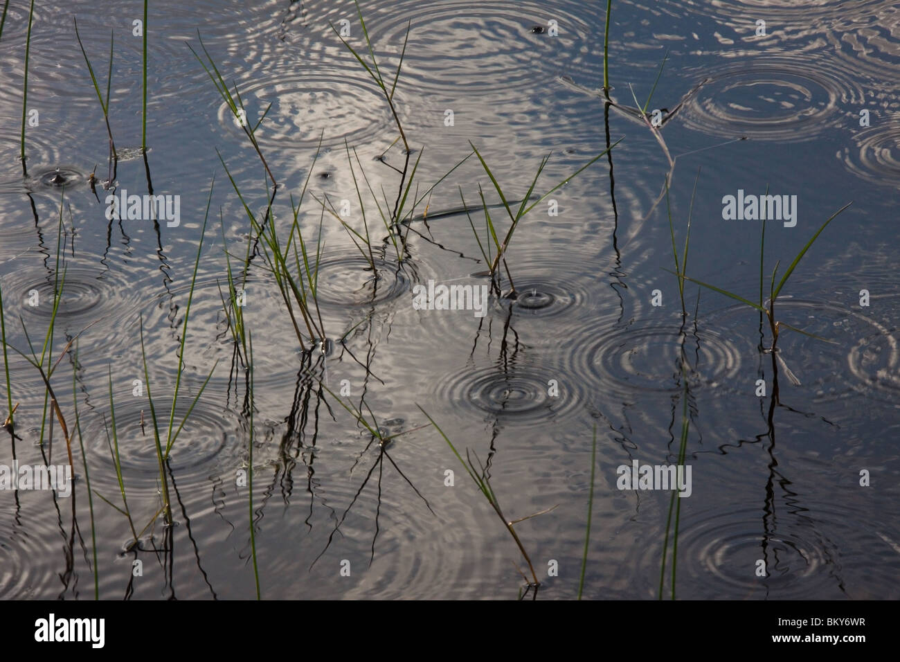 Raindrop marks hi-res stock photography and images - Alamy