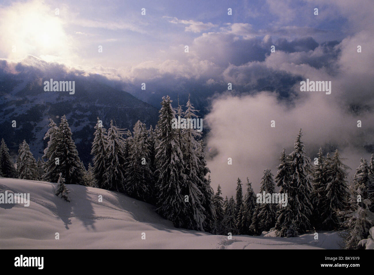 Winter scene in the Swiss Alps Stock Photo - Alamy