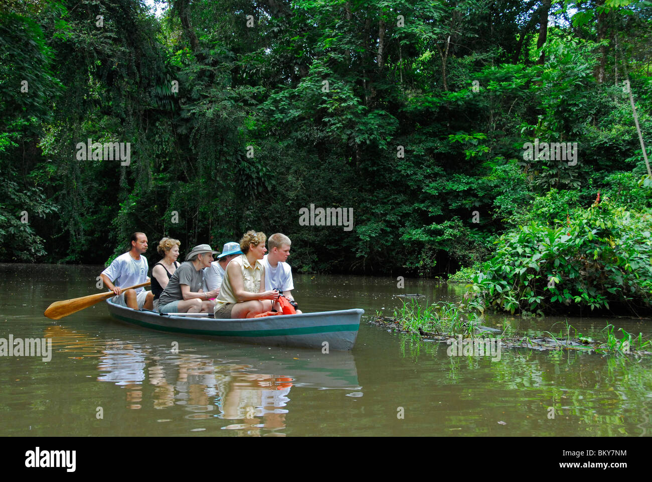 Group of tourists kayaking on a tour in Tortuguero National Park, Costa ...