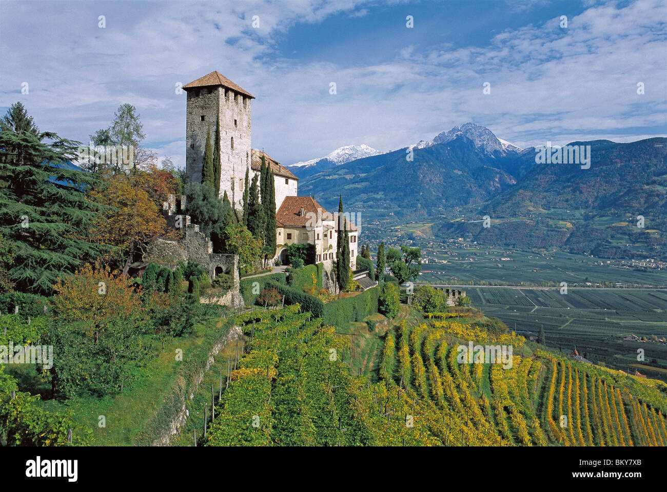 Lebenberg Castle with vineyards, Tscherms, Burggrafenamt, South Tyrol ...