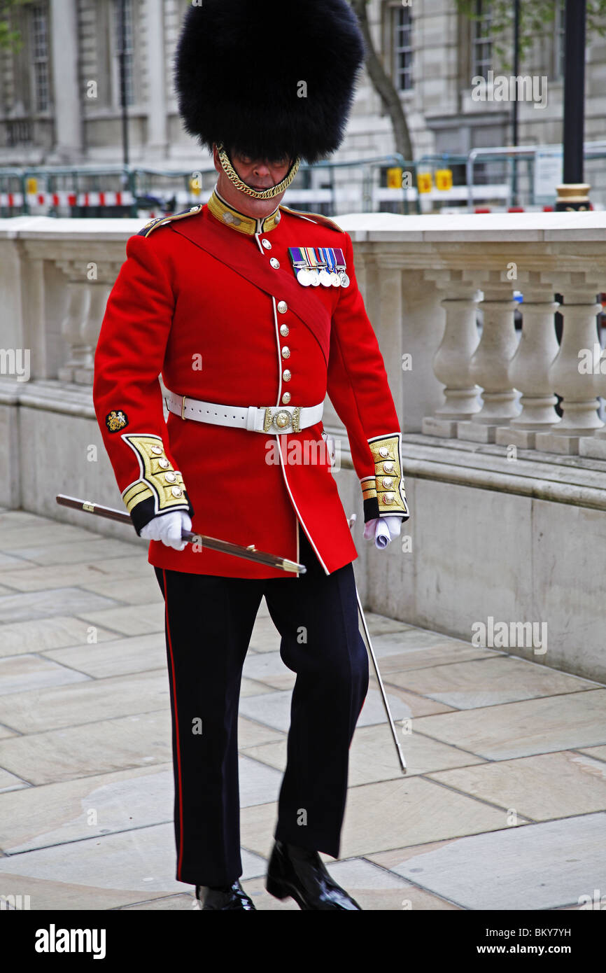 Soldier uniform busby hi-res stock photography and images - Alamy