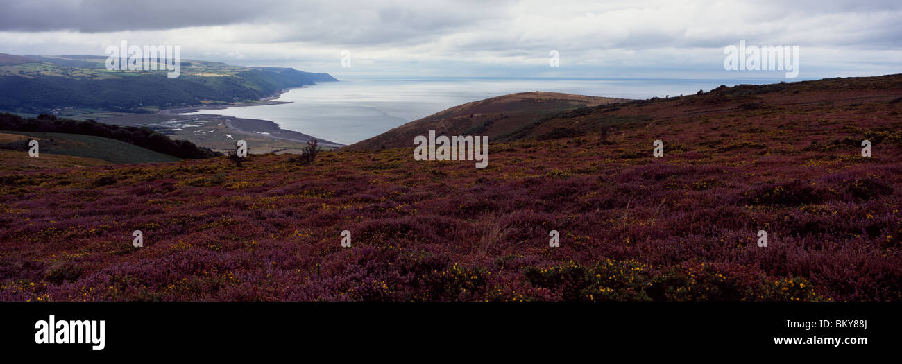 Porlock vale hi-res stock photography and images - Alamy