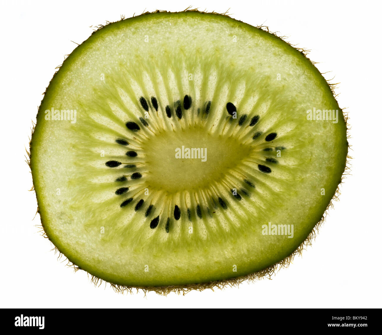 a single thin slice of kiwi fruit in close up showing the seeds. Lit ...