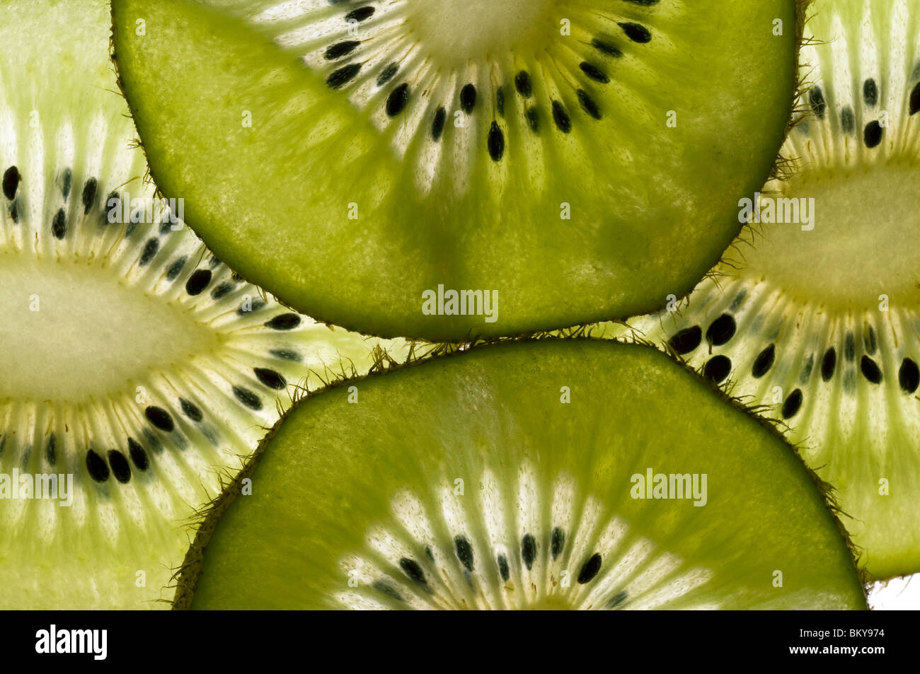 Kiwi Seeds