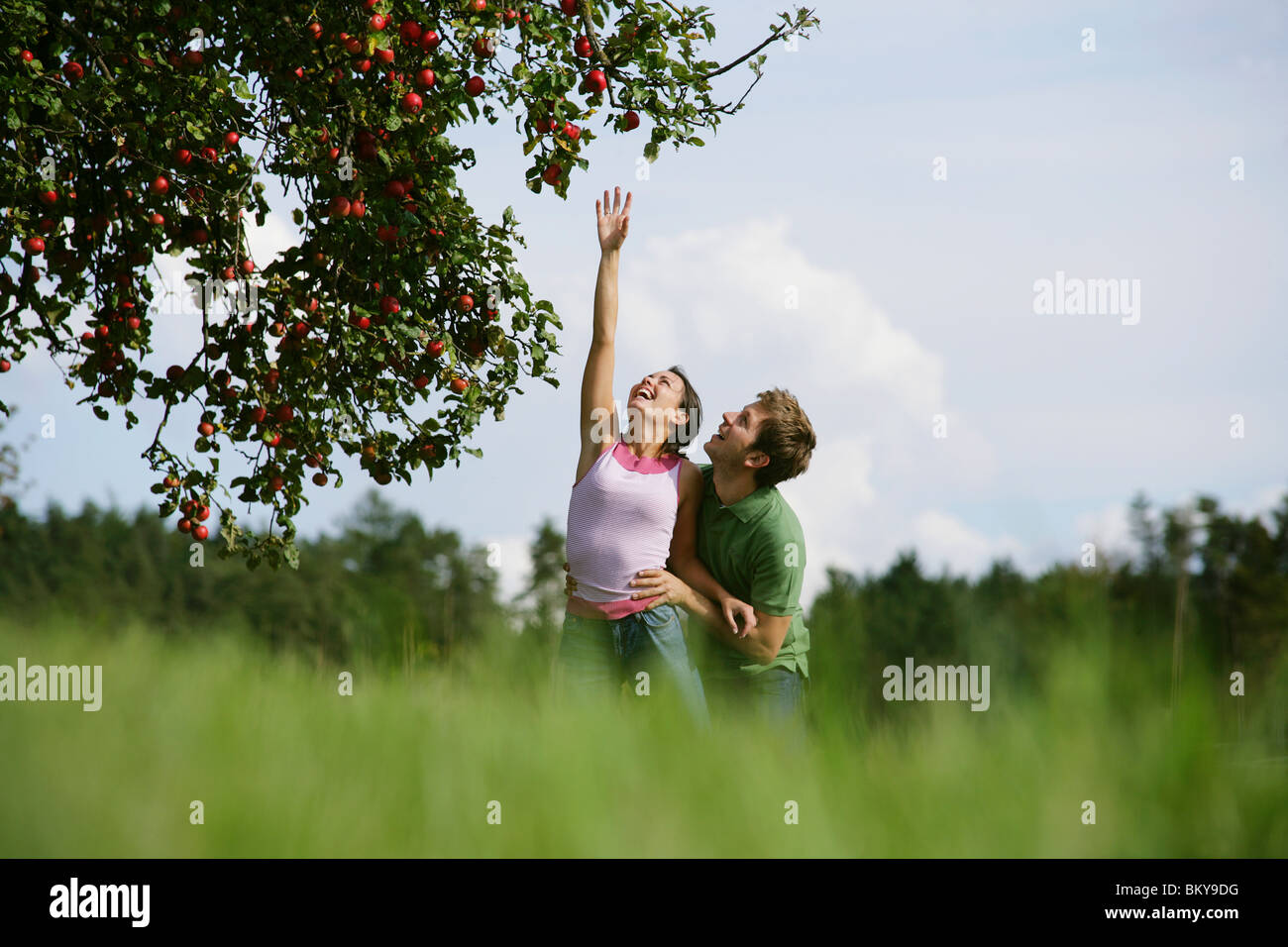 Couple under an apple tree, woman reaching for an apple, Styria ...