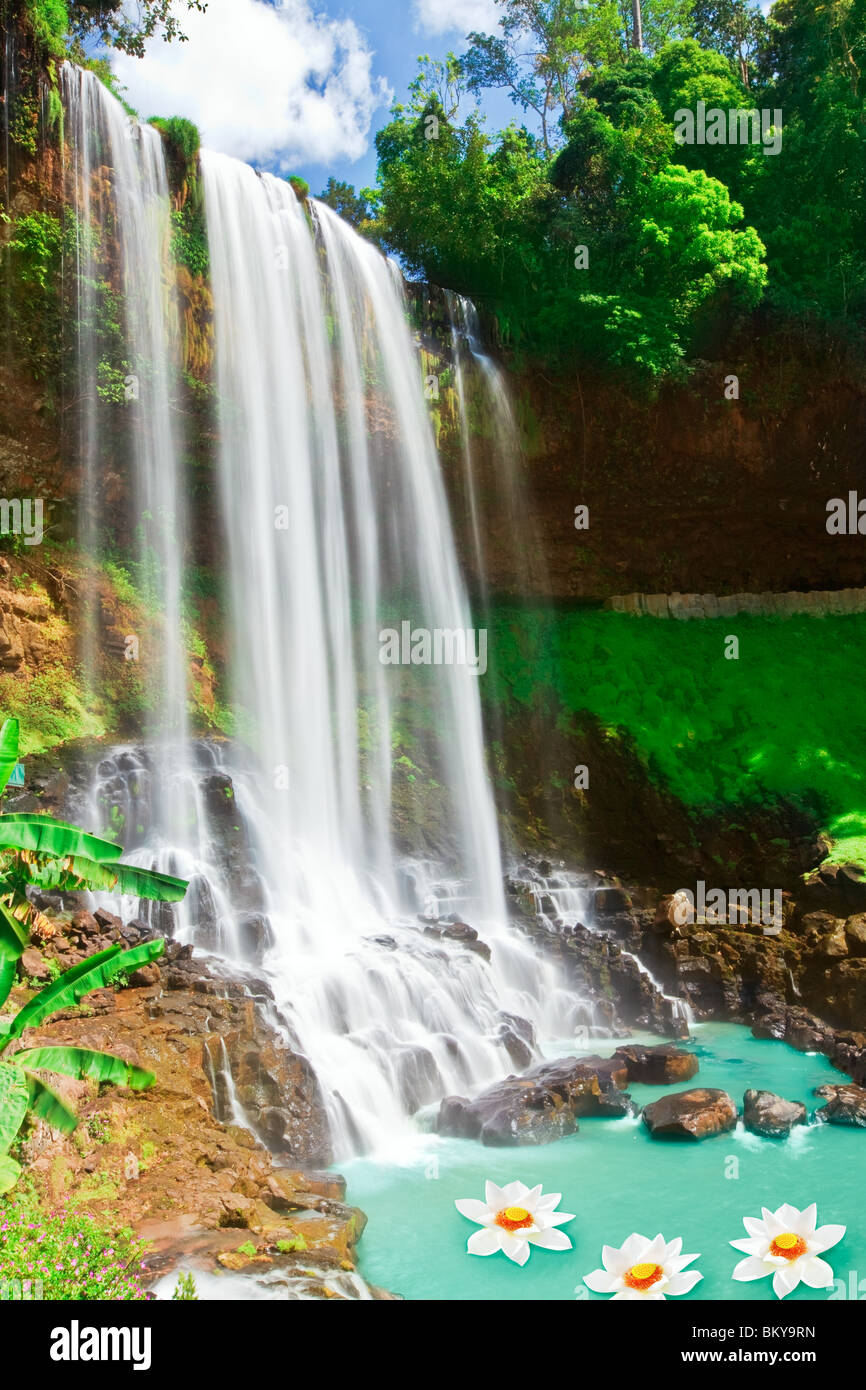 Jungle rain forest tropical plants pool flowers water hi-res stock ...