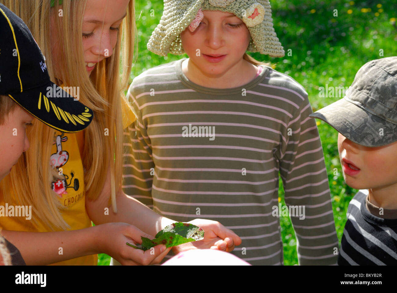 Children looking at something on a leaf, Bavarian Alps, Upper Bavaria ...