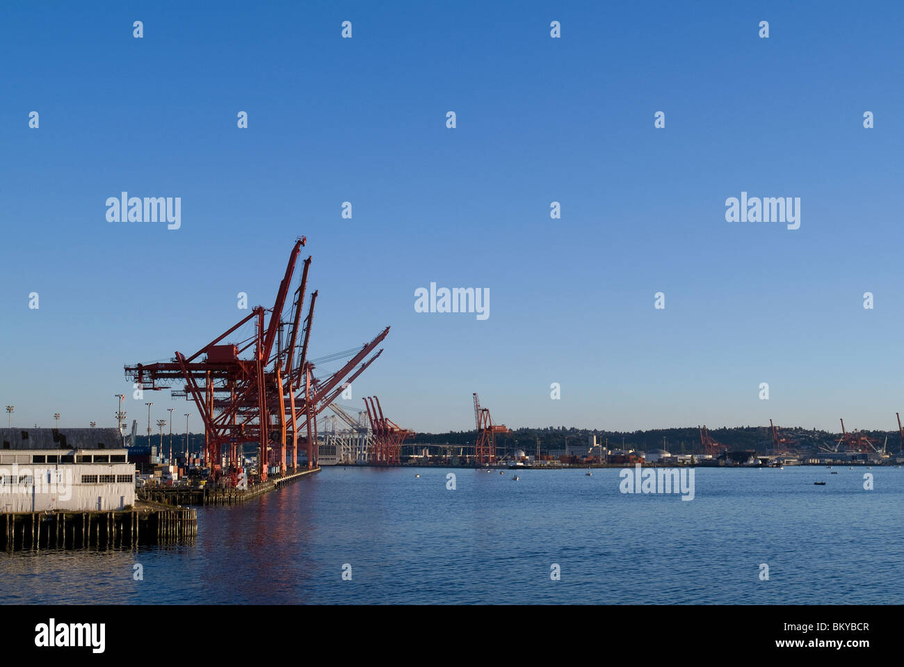 Container port seattles terminal 46 hi-res stock photography and images ...