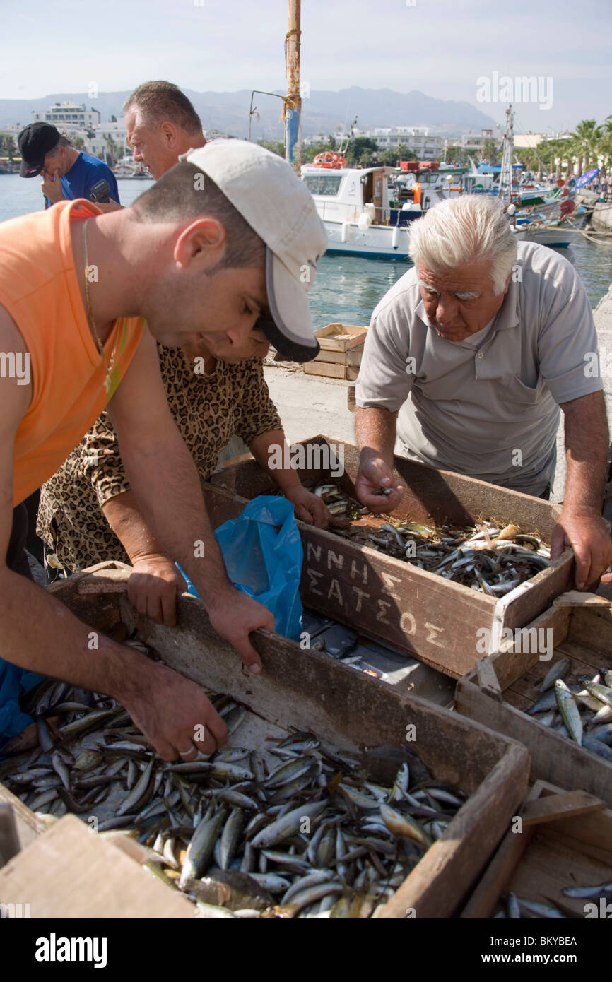 People sorting fishing at Madraki harbour, Kos-Town, Kos, Greece Stock ...