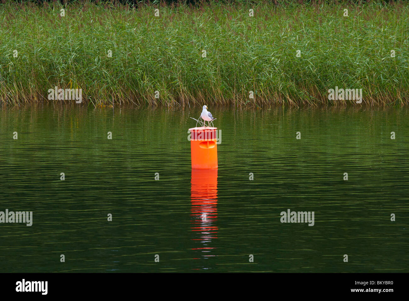 Jezioro mamry hi-res stock photography and images - Alamy