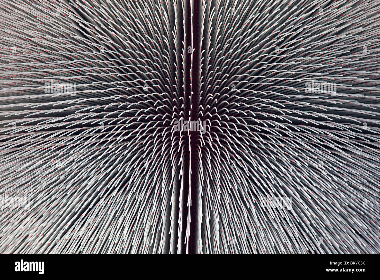 UK Pavillion at Expo 2010, Shanghai, China World's Fair Stock Photo - Alamy