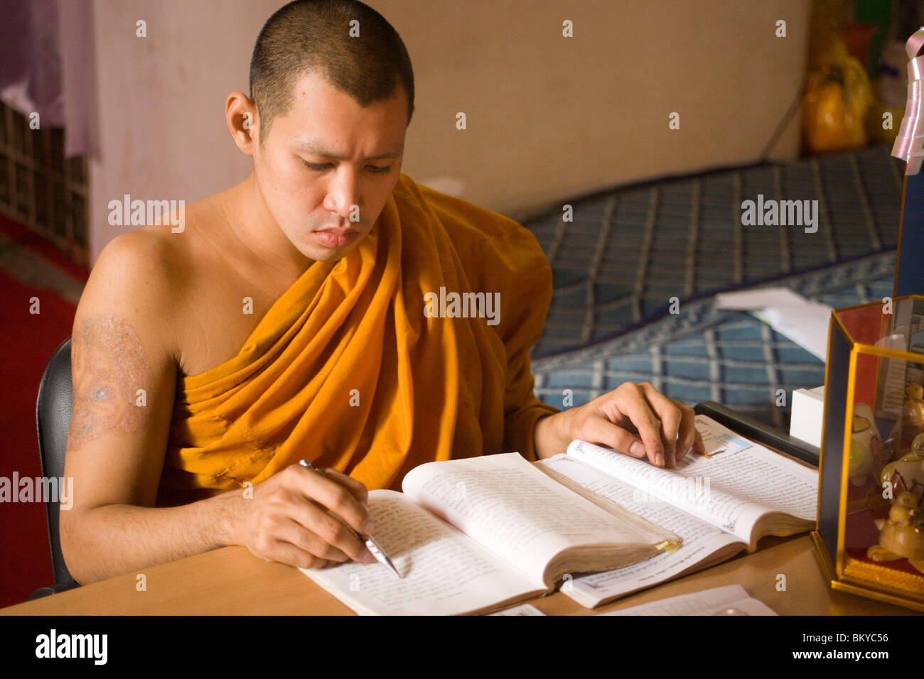 Young Buddhist Monks Studying