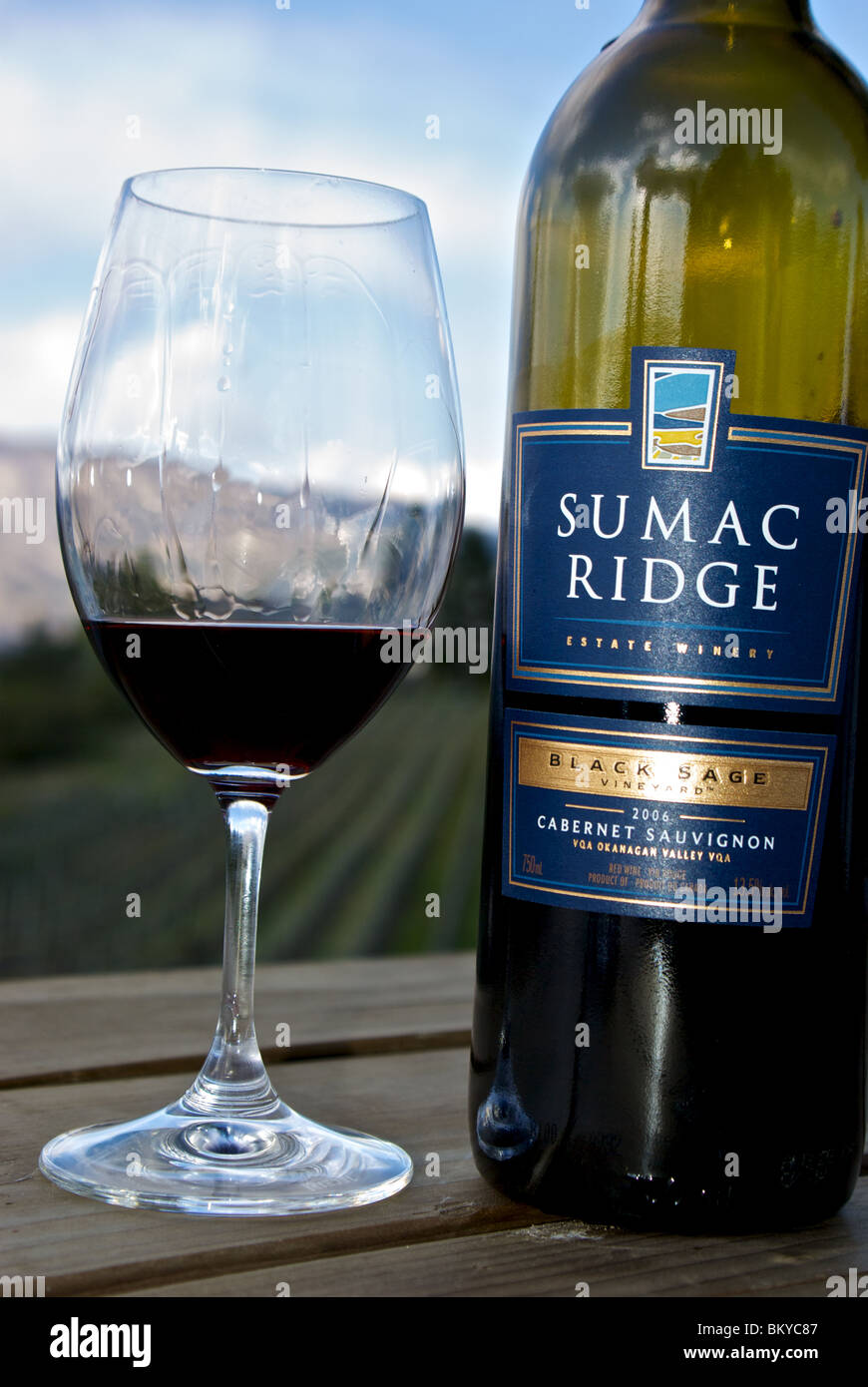 Cabernet sauvignon bottle hi-res stock photography and images - Alamy