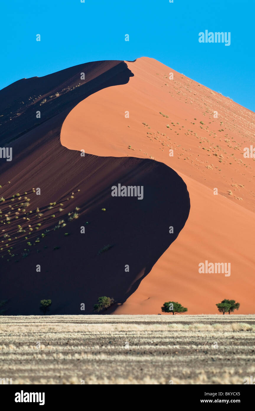 One of the Giant Red Sand Dunes just before Sunset in Sossusvlei, Namib ...