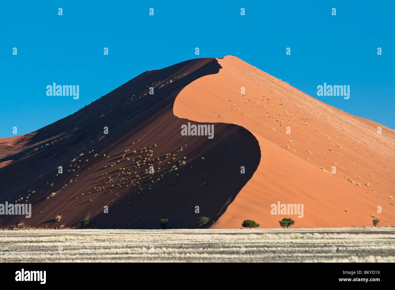 One of the Giant Red Sand Dunes just before Sunset in Sossusvlei, Namib ...