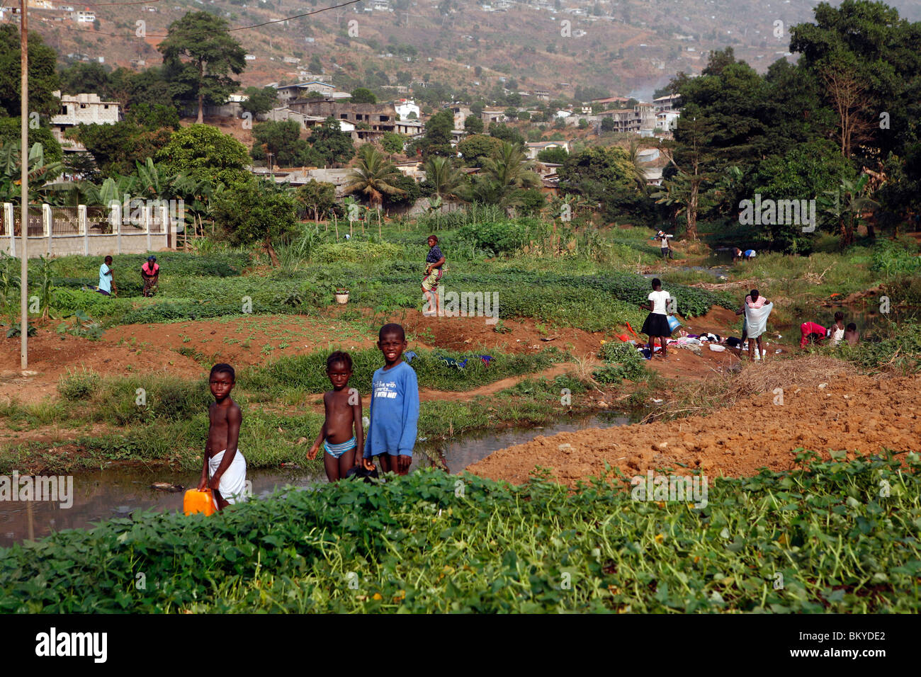 Allotments and growers of vegetables, Freetown, Sierra Leone, West ...