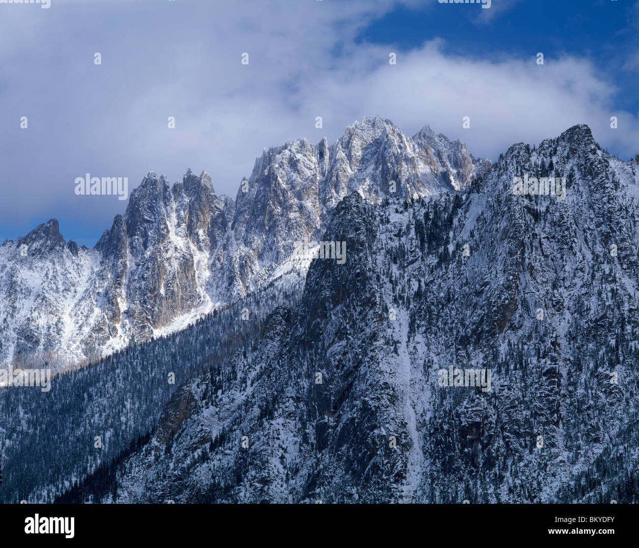 Okanogan National Forest, Snagtooth Mountain covered with snow ...
