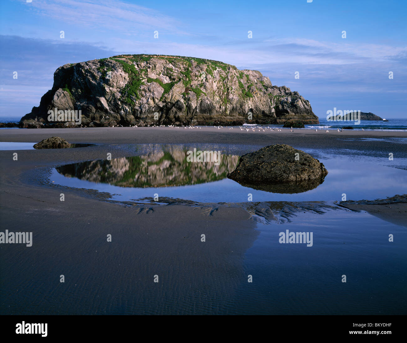 Oregon islands hi-res stock photography and images - Alamy