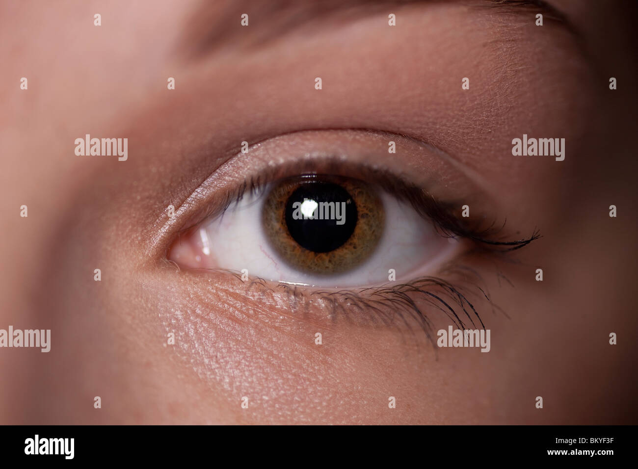 Human eye close up wide pupil hi-res stock photography and images - Alamy