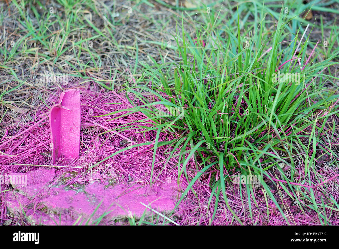 Splashed colors hi-res stock photography and images - Alamy Splashed colors hi-res stock photography and images - Alamy