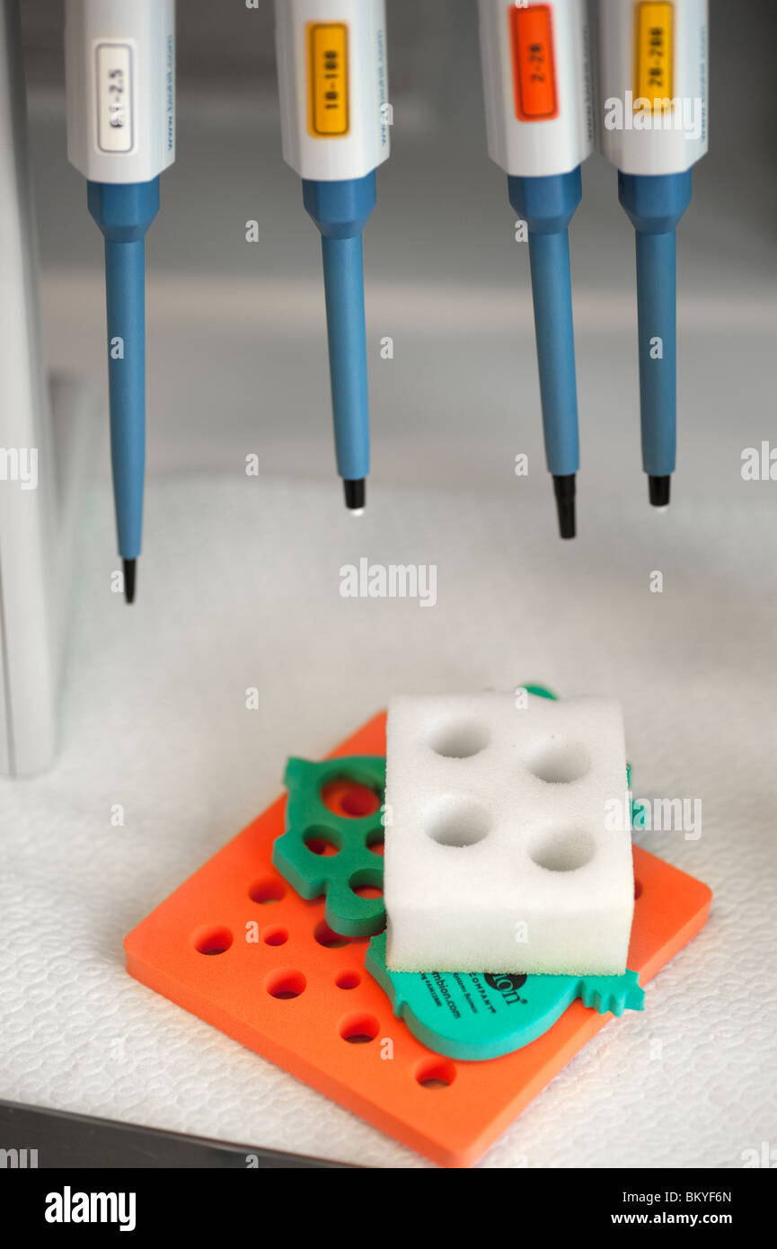 Micropipettes hi-res stock photography and images - Alamy