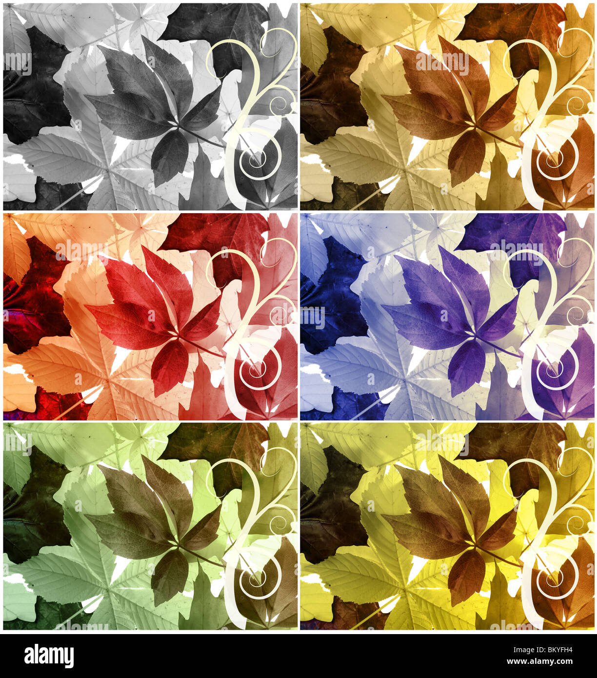 Six blocks hi-res stock photography and images - Alamy