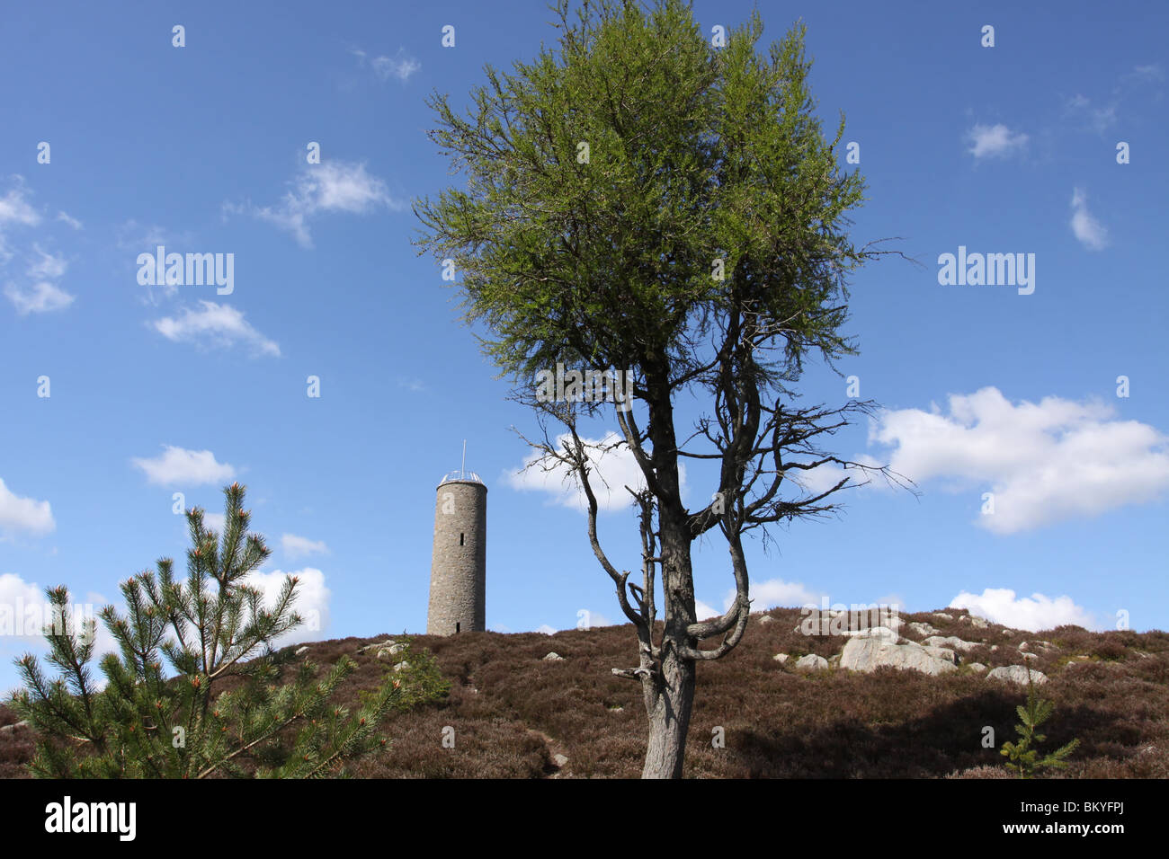 tree and Scolty's Tower on Scolty Hill, near Banchory, Aberdeenshire ...