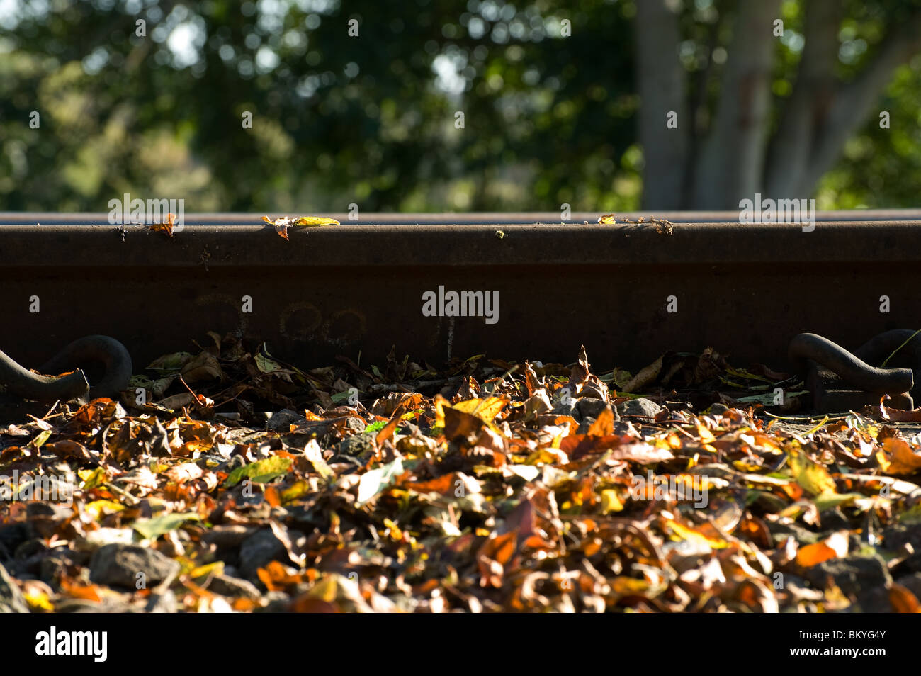 Leaves gathering at the side of a railway line in autumn in England ...