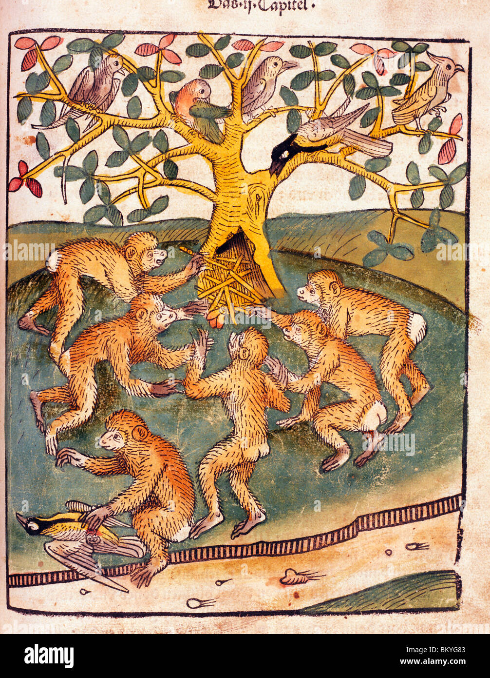 Monkeys starting fire under tree, from Buch der Weisheit der alten ...