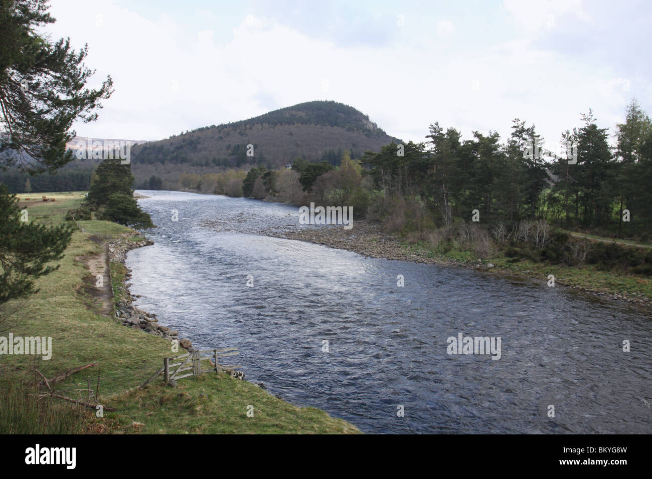 River dee aberdeenshire hi-res stock photography and images - Alamy