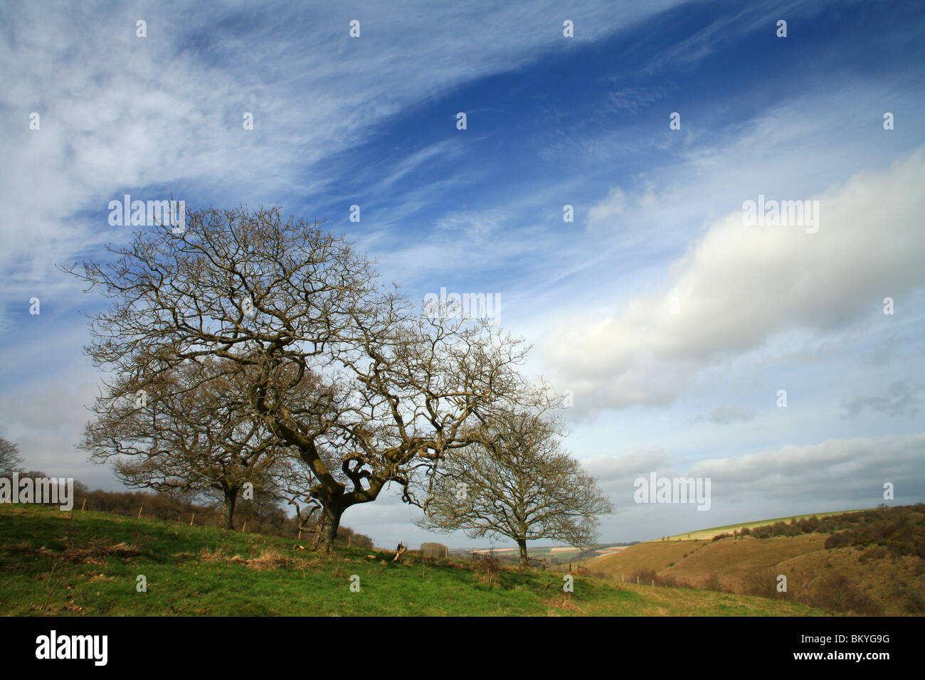 A photograph of a blue sky with fair weather cloud above the English ...