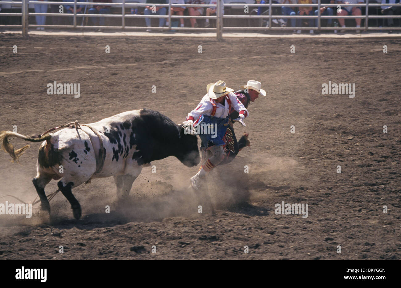 Professional rodeo cowboys association hi-res stock photography and ...