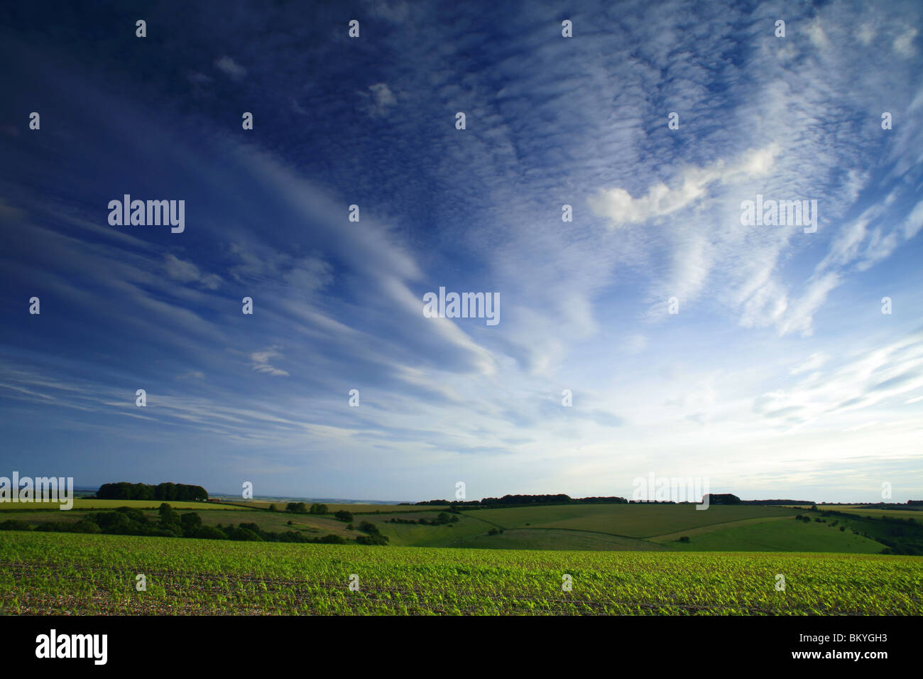 A photograph of a blue sky with dramatic fair weather cloud above the ...