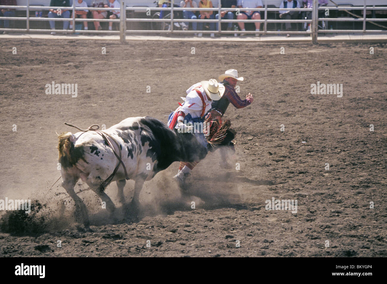Rodeo clown and bull rider hi-res stock photography and images - Alamy