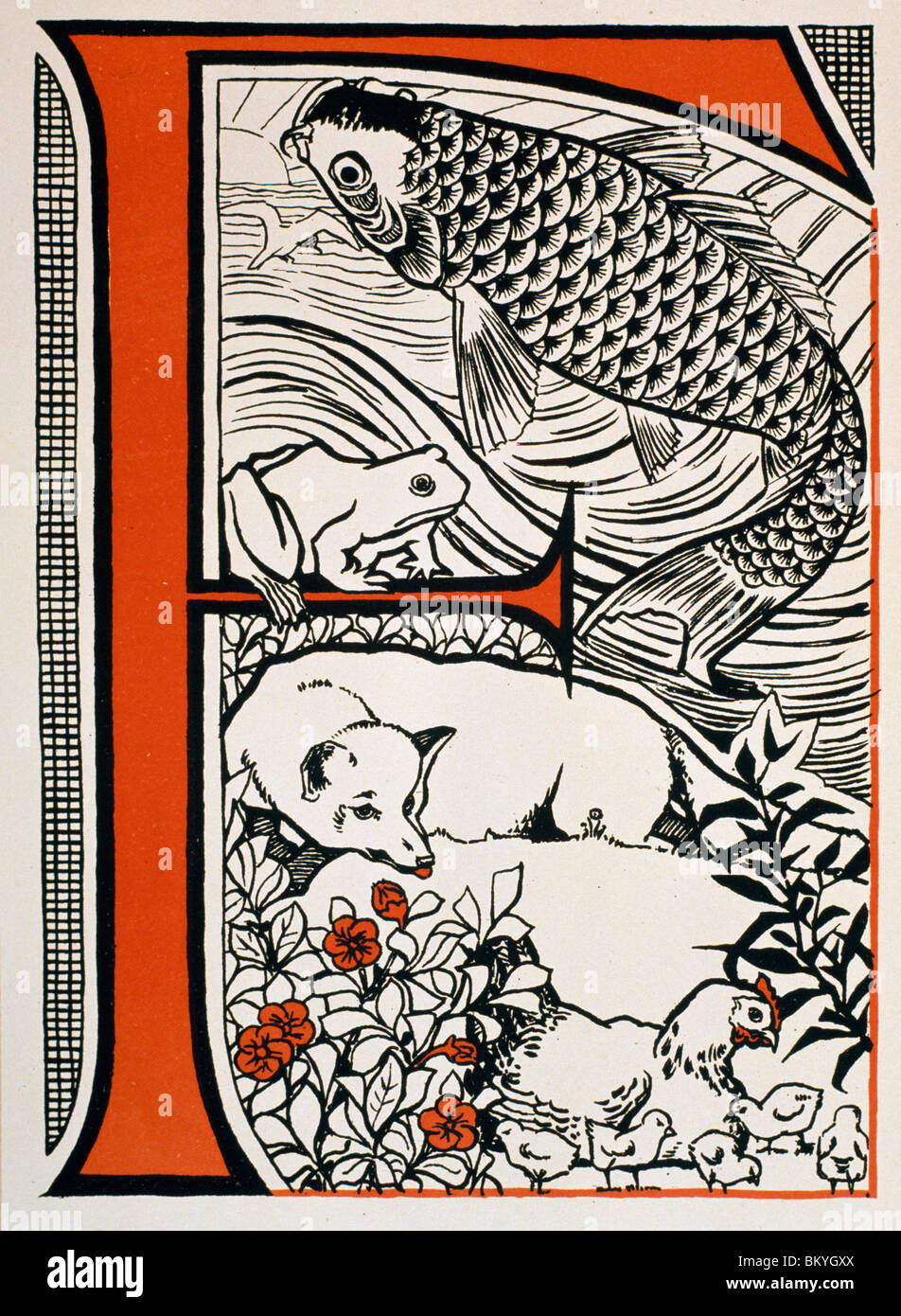 The Letter F (Is For Fish, Fox...), from book ABC by Theodore Howard ...