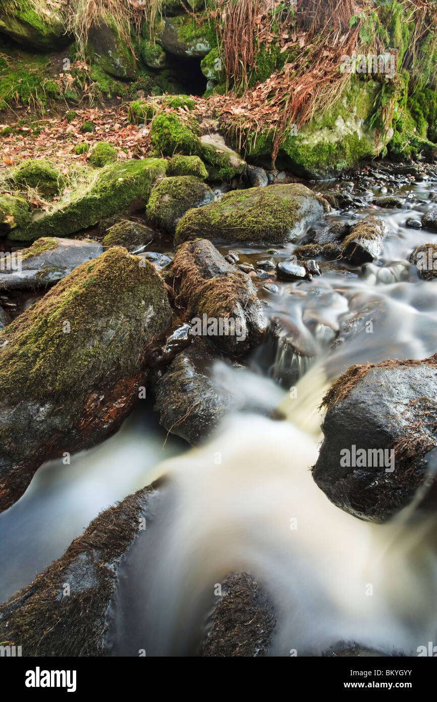 Entrance to the Ballydonegan Sweathouse next to the Clougherna Burn ...