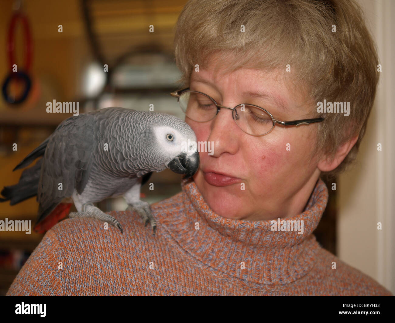 african grey parrot and woman Stock Photo - Alamy