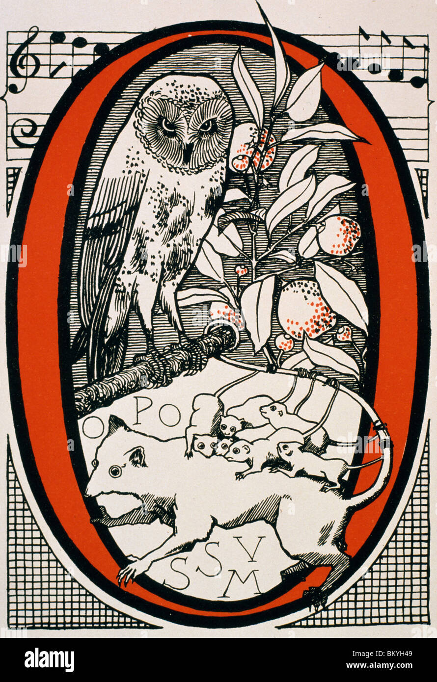 The Letter 'O' (is for Owl, Opossum...), from book ABC by Theodore ...