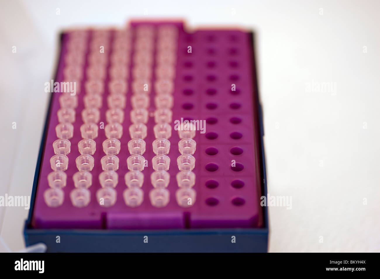 Pipet tips on a tray Stock Photo - Alamy