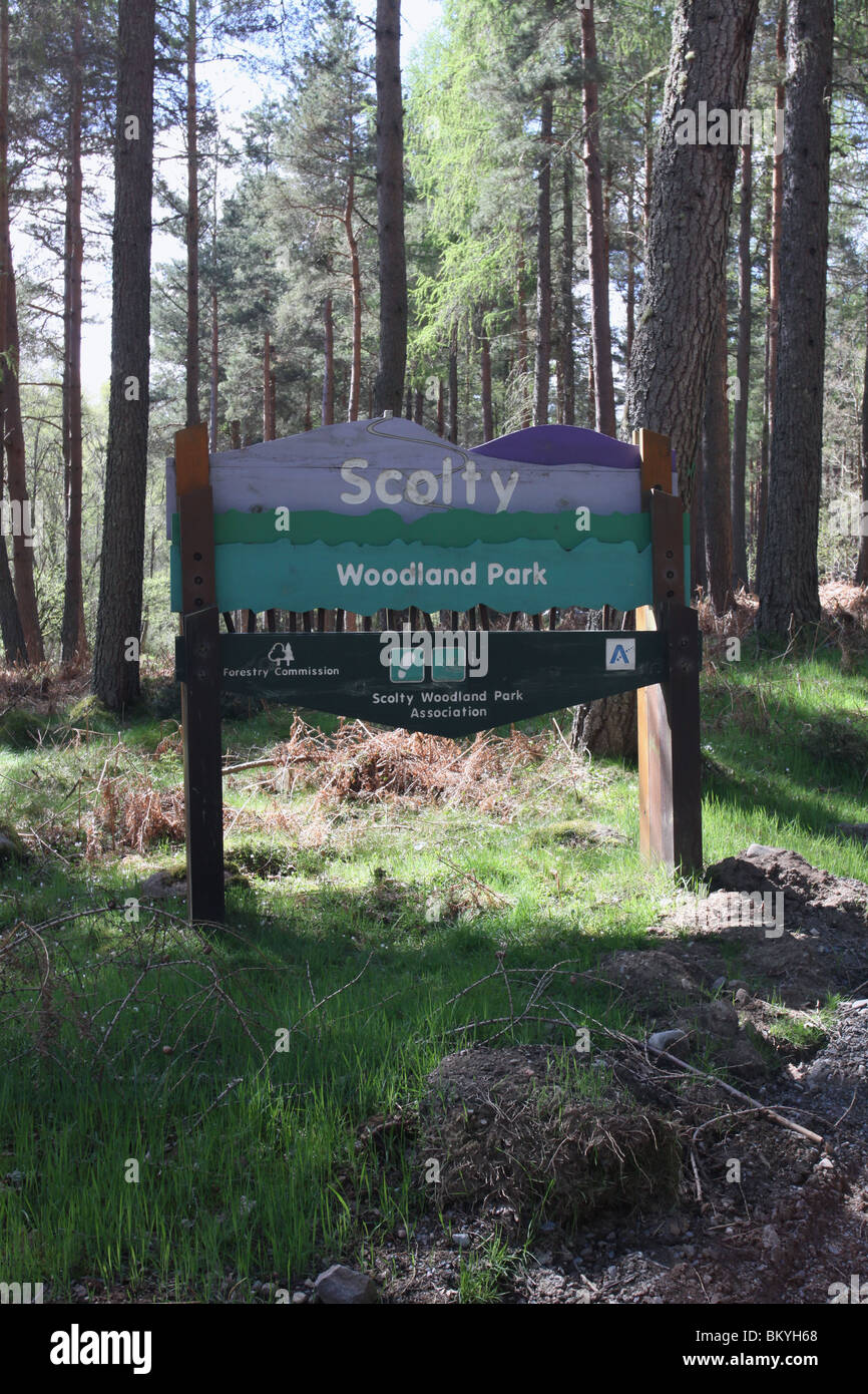Scolty woodland hi-res stock photography and images - Alamy
